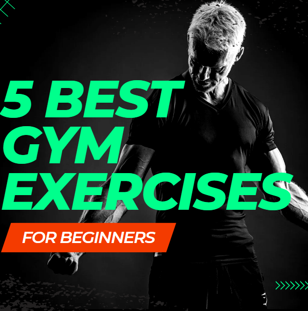 5 Must-Try Exercises for New Gym-Goers: A Beginner's Guide to Building ...